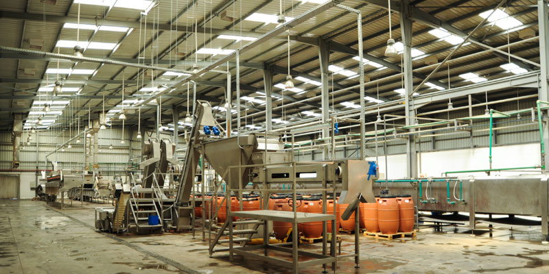 Our Factory - Green Valley