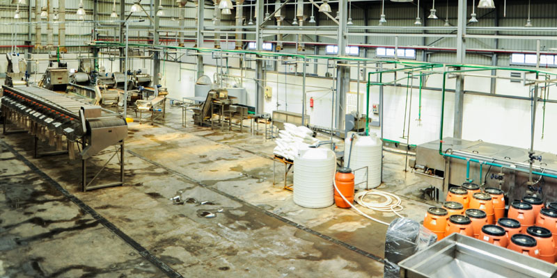 Our Factory - Green Valley
