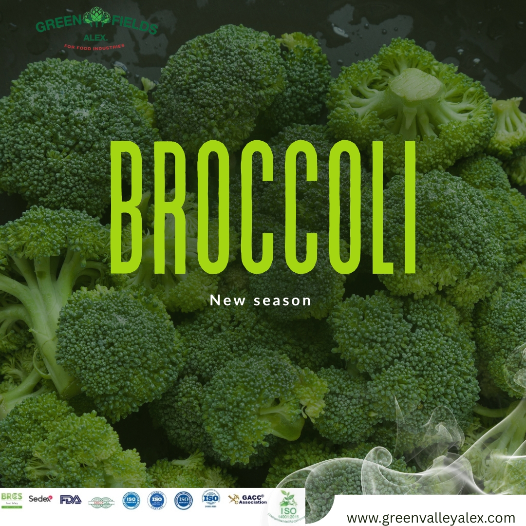 IQF Frozen Broccoli: Consistency for Global Food Businesses - Green Valley
